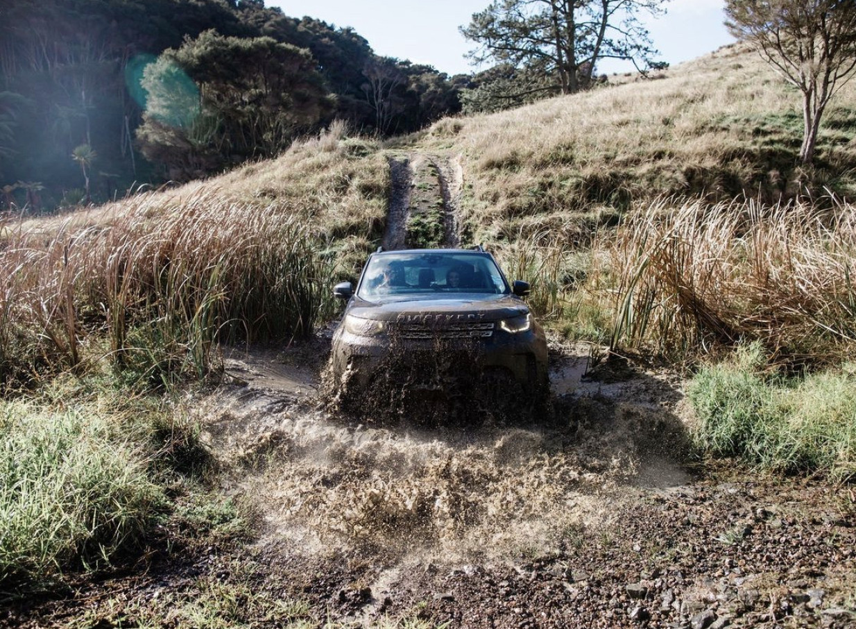 Kauri Bay | Auckland